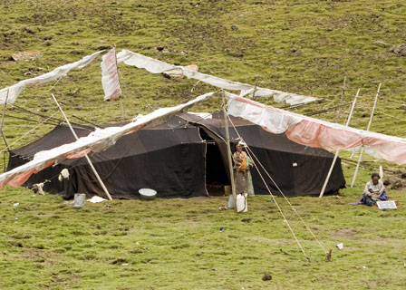 Spring Brook Ranch Tibet Photo Page